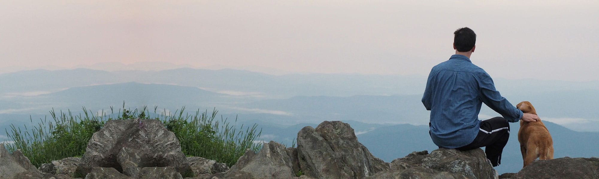 Home - Dr. William B Roth